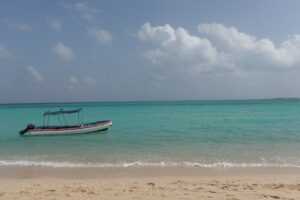 世界遺産レベル？ジブチで一番美しいマスカリ島と「さみだれ」の自衛隊員たち | 飛んでアフリカ 旅して中東